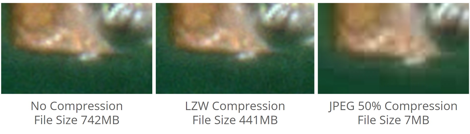 VHX Microscope Image Compression Options - Peak Metrology